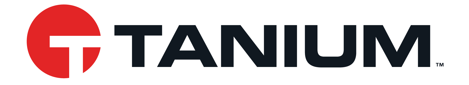 About Us | Technology Solutions and Consulting Services